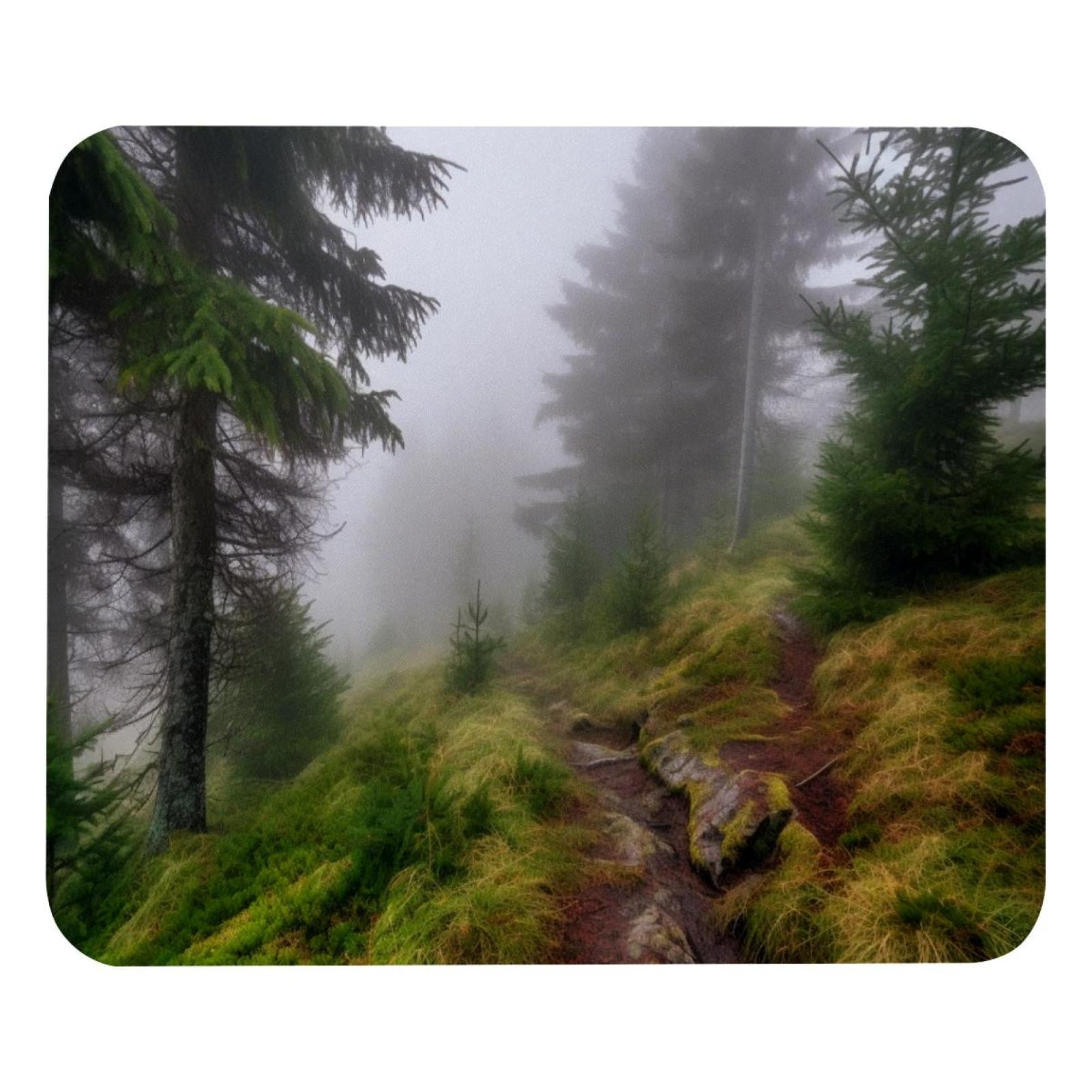 Misty Pine Forest on the Mountain Slope in a Nature Reserve Mouse Pad ...
