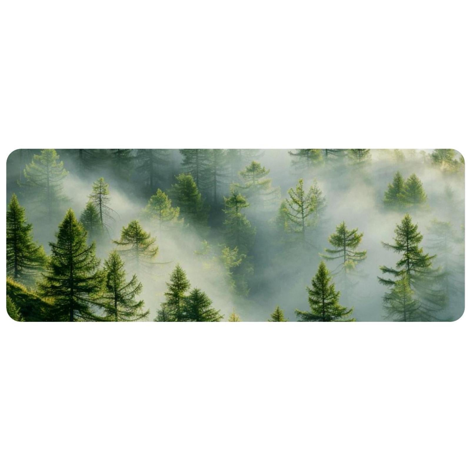 Misty Pine Forest on the Mountain Slope in a Nature Reserve Computer ...