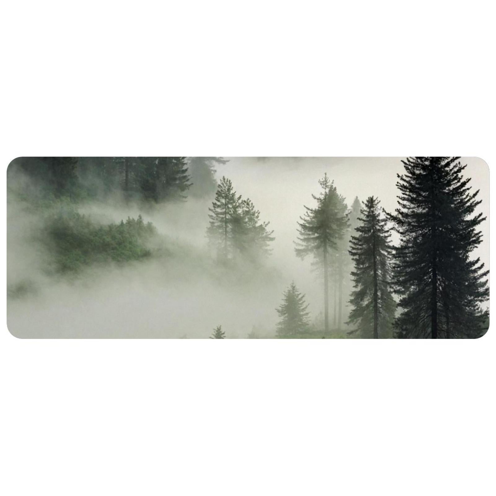 Misty Pine Forest on the Mountain Slope in a Nature Reserve Computer ...