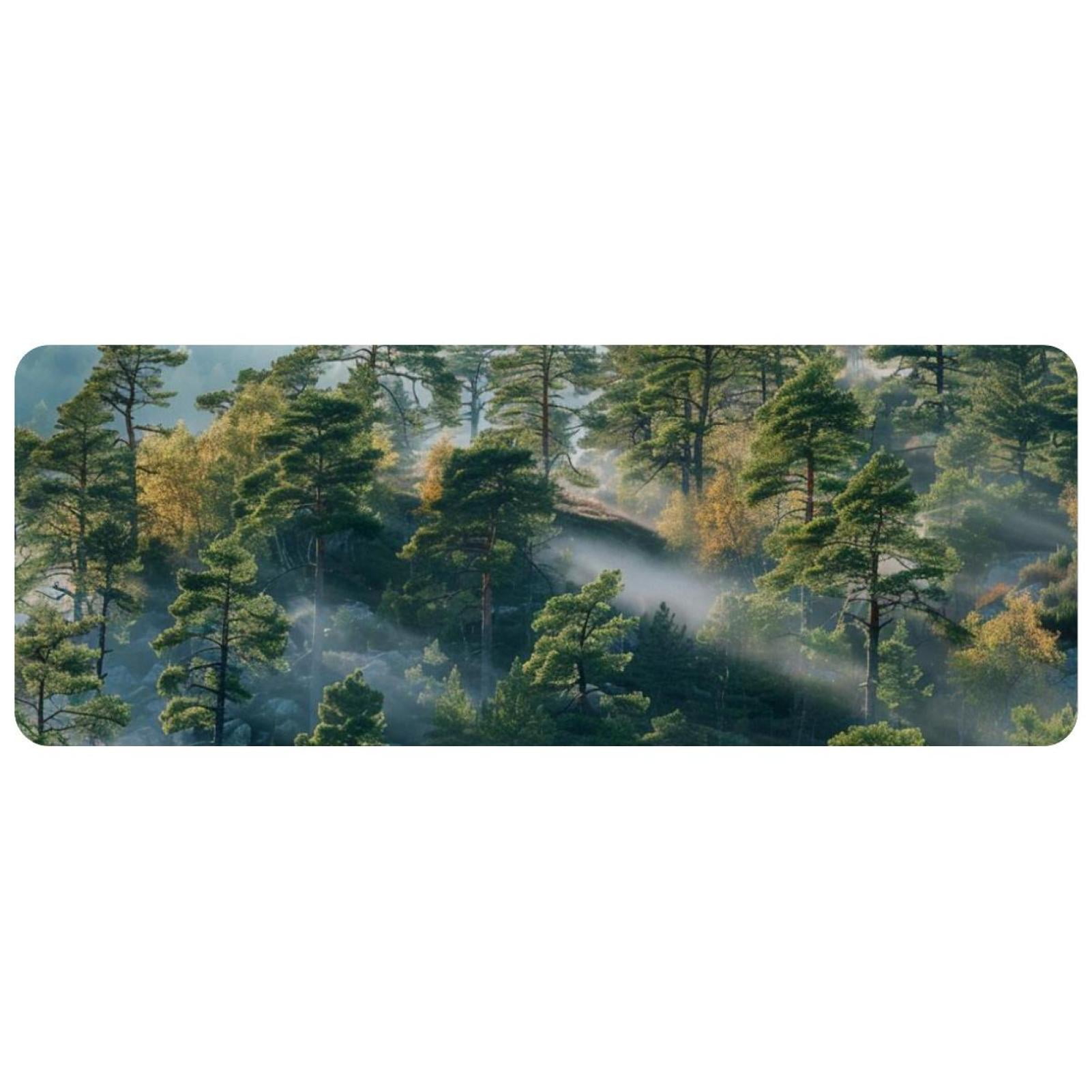 Misty Pine Forest on the Mountain Slope in a Nature Reserve Mouse Pad ...
