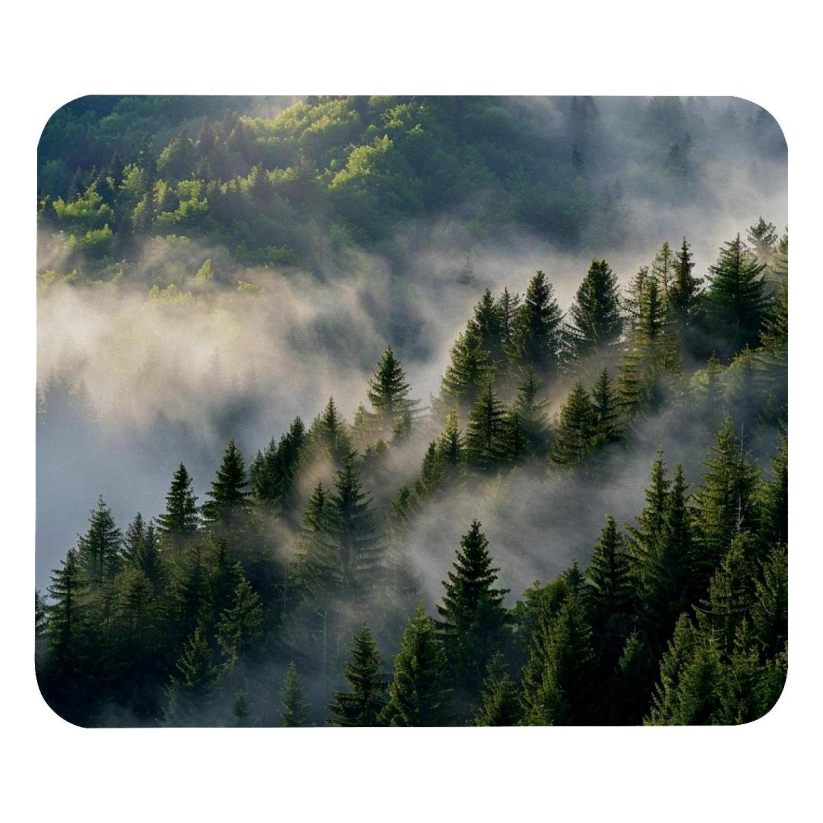 Misty Pine Forest on the Mountain Slope in a Nature Reserve Mouse Pad ...