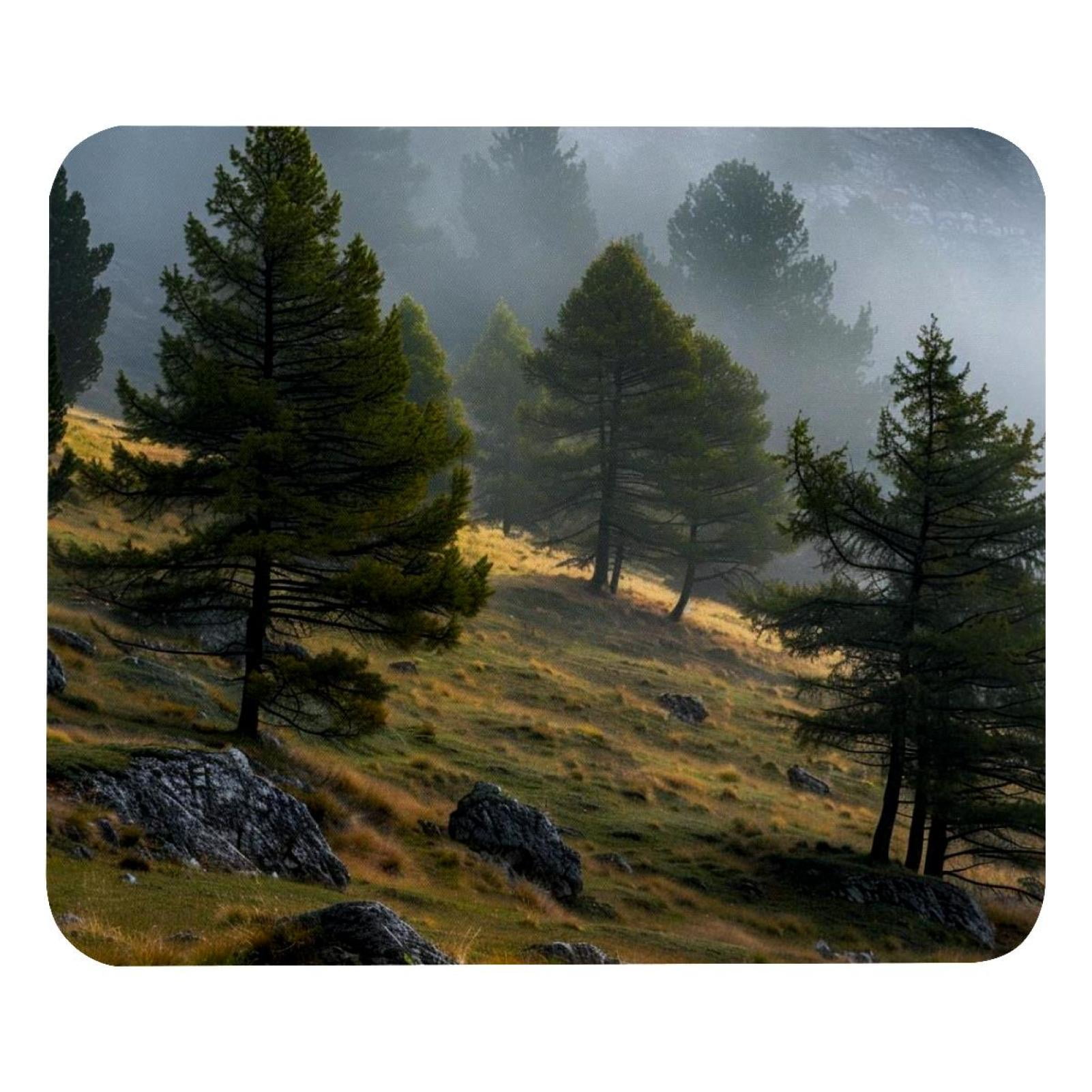 Misty Pine Forest on the Mountain Slope in a Nature Reserve Mouse Pad ...