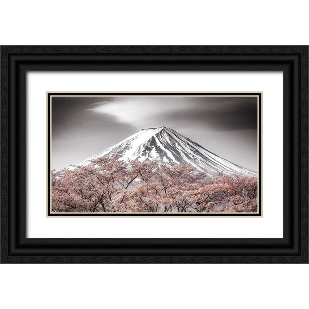Mitamura, Takeshi 24x15 Black Ornate Wood Framed with Double Matting ...