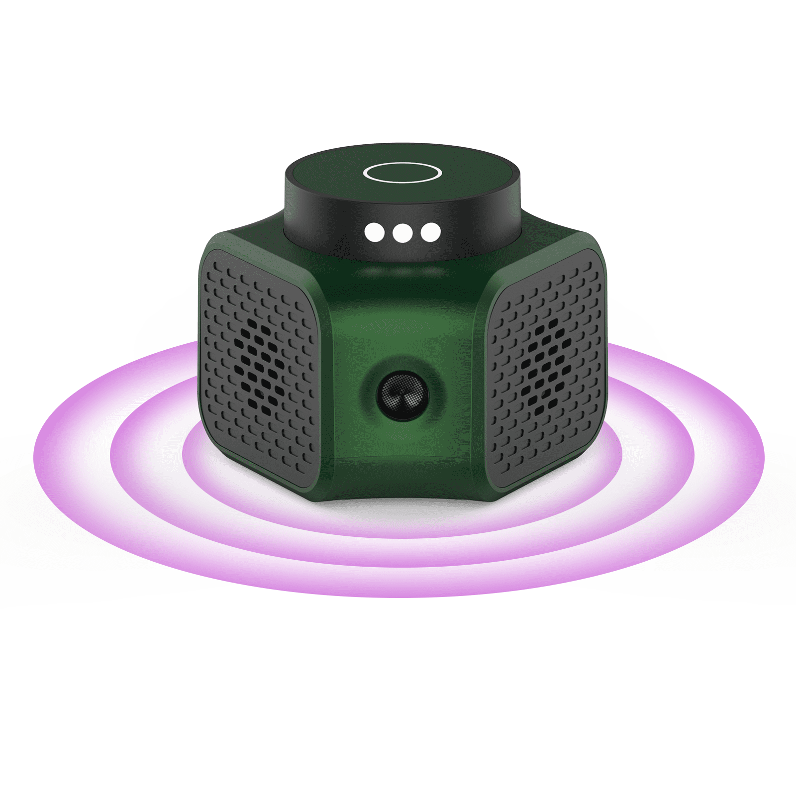 Mitscoots Keep your attic free from mouse intrusions with this ...