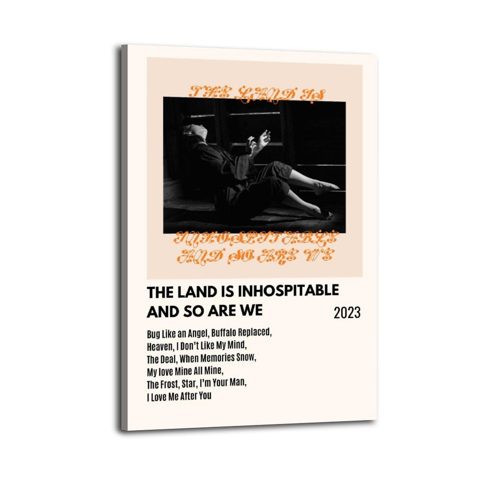 Mitski The Land Is Inhospitable Poster Decoration Vibrant High-end Wall ...