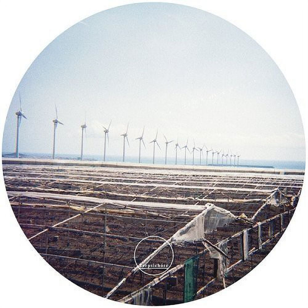 Mitsuaki Komamura - Butterfly Effect - Electronica - Vinyl - Walmart.com