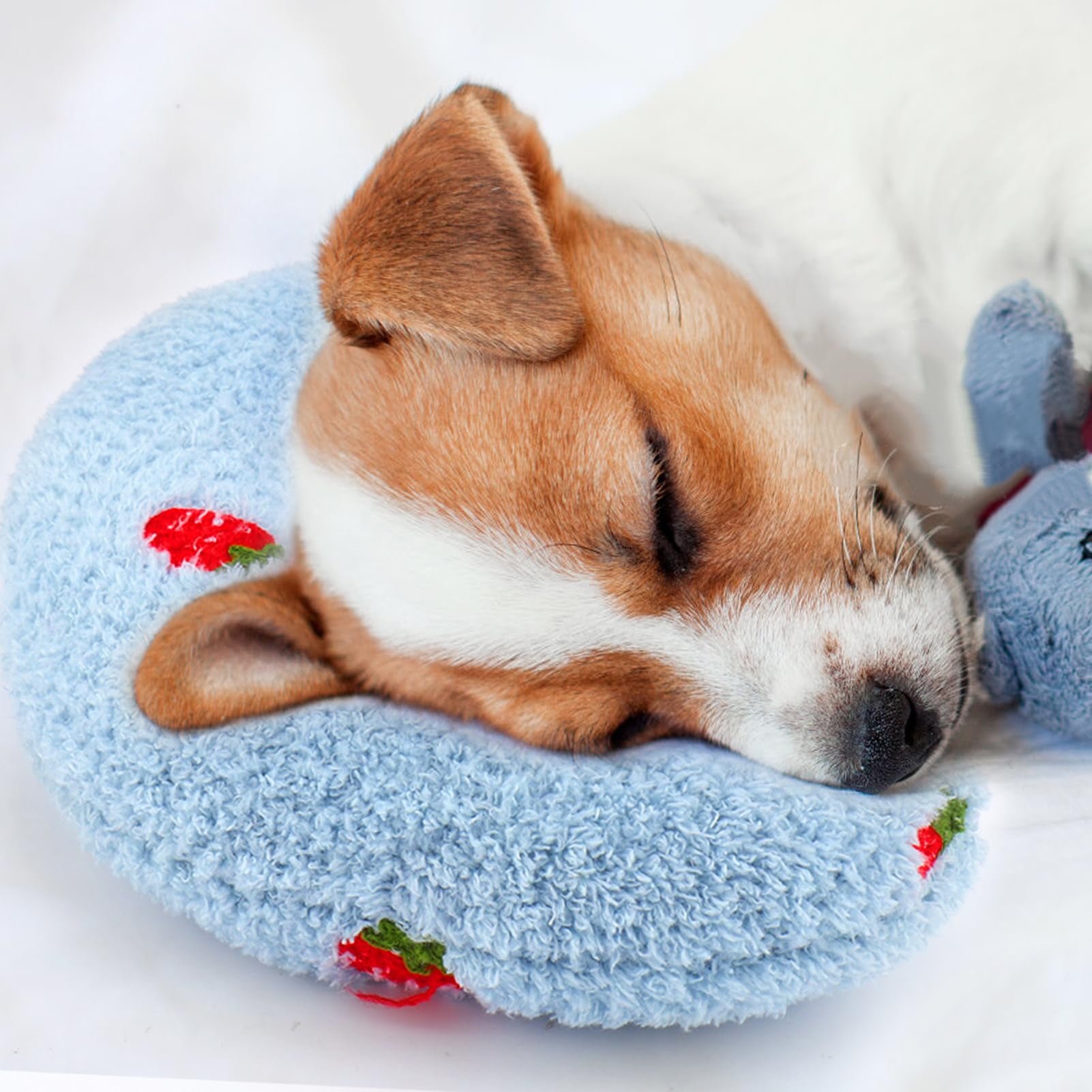 Mity rain Dog Pillow, AIF4 Anxiety Relief Pillow for Dog, Ultra Soft ...