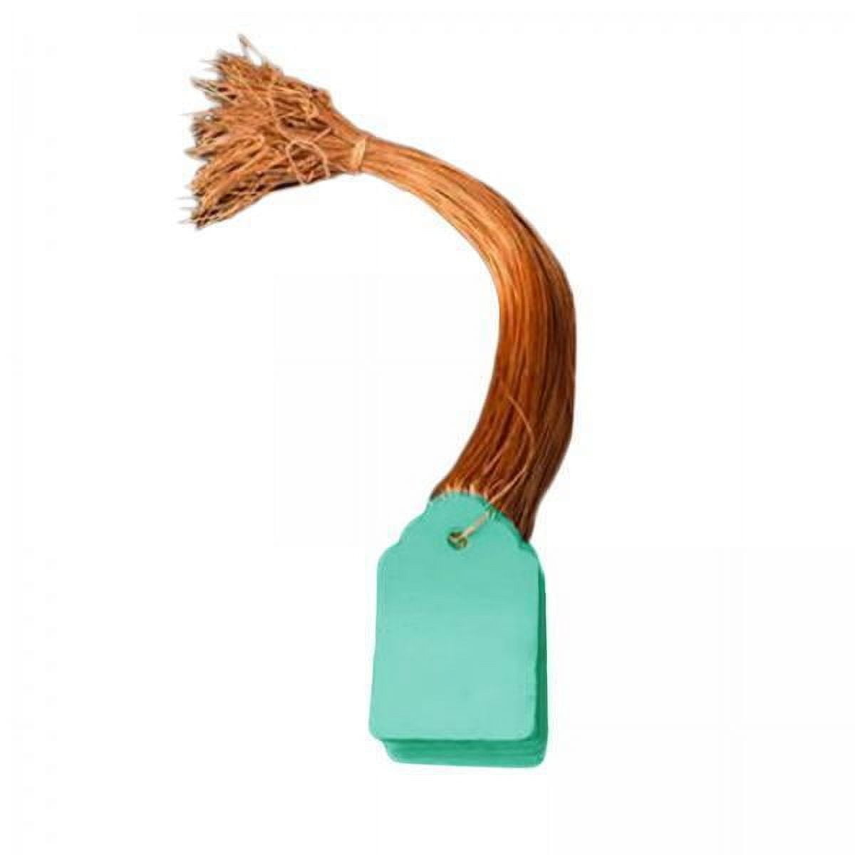 Miulika 3x 100Pcs Plant Hanging Tags, Plant Labels Tags, PVC Reusable ...