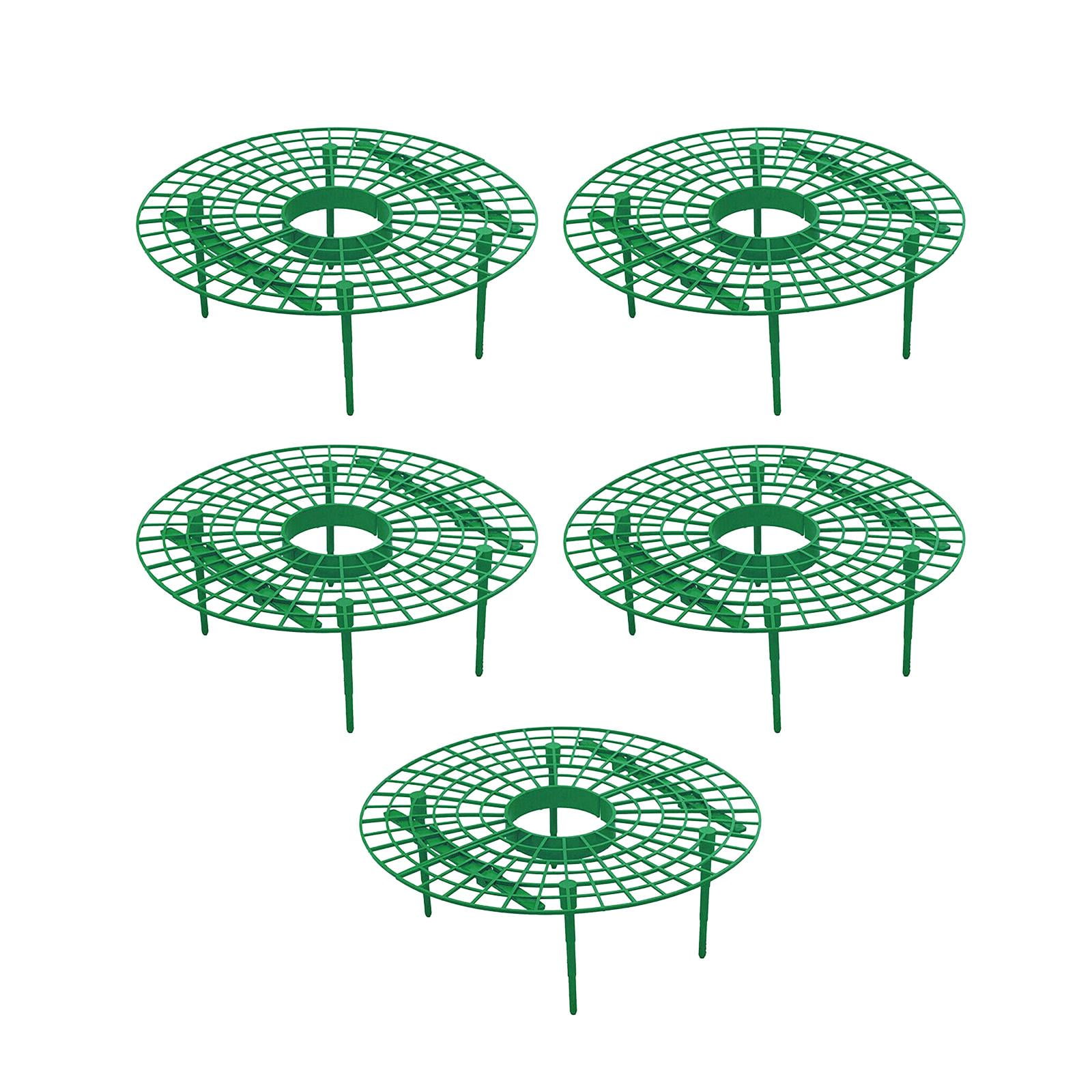 Miulika 5 Pieces Strawberry Plant Support Plant Stand, Protection Rack ...