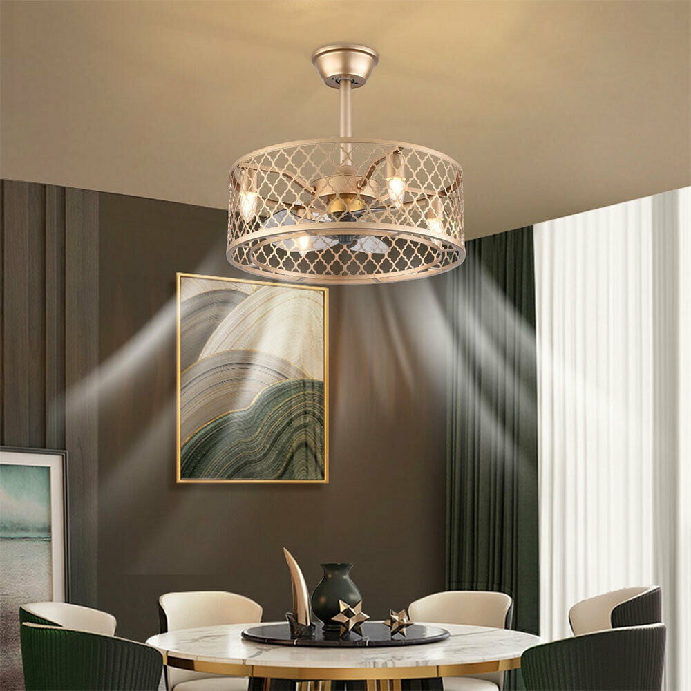 Miumaeov 20 Inch Caged Ceiling Fan with Lights 3 Speeds Adjustable Iron ...