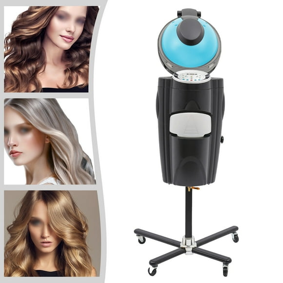 Steam Hair Setters