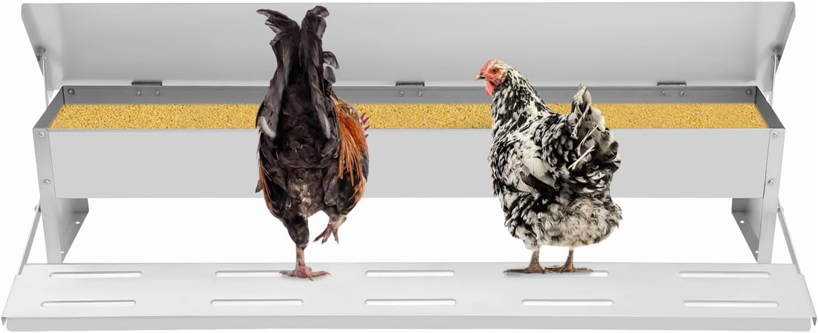 Miumaeov Automatic Chicken Feeder, 22Lbs Large Capacity Poultry Trough ...