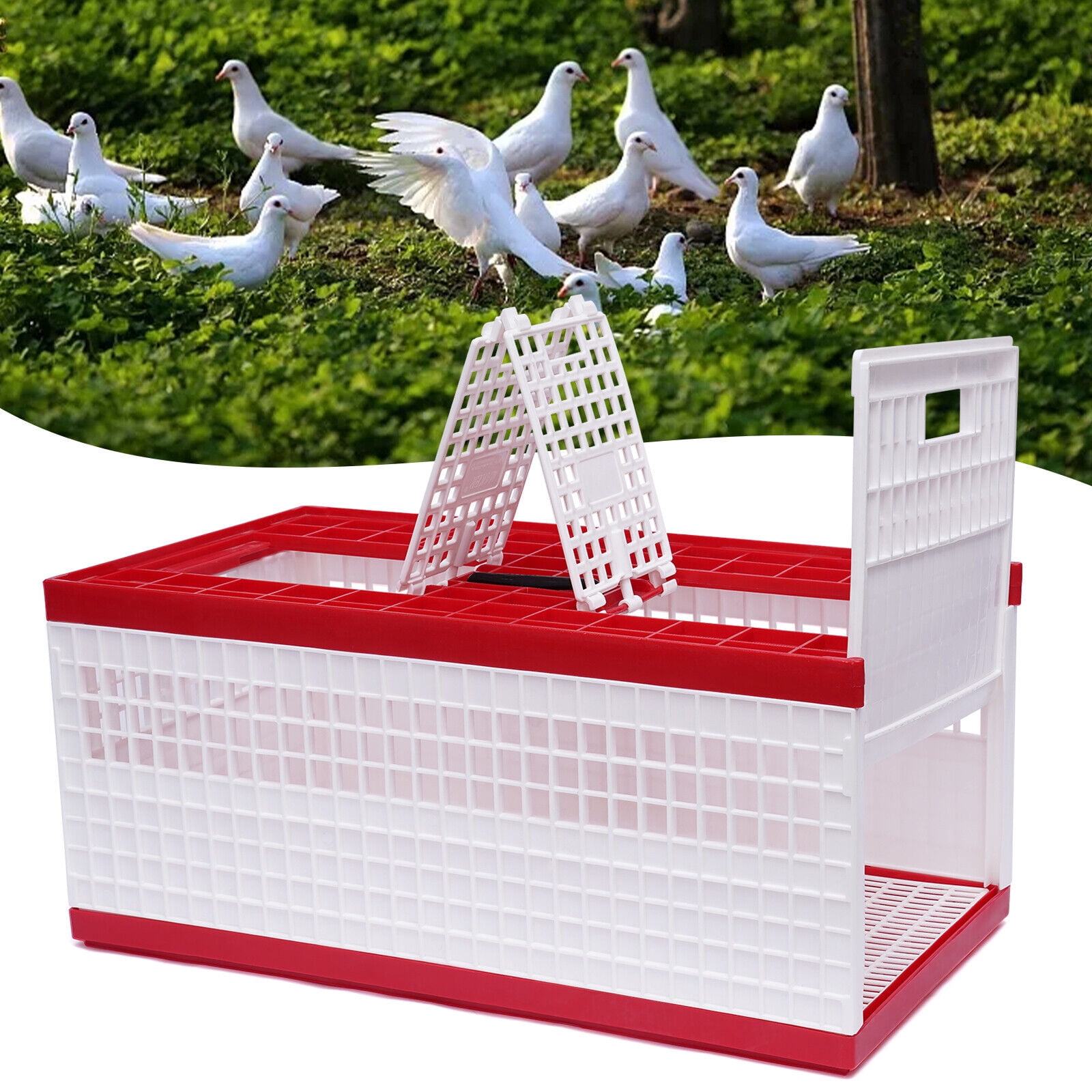 Miumaeov Bird Pigeon Plastic Cage with 2 Top Doors 2 Side Doors Durable ...