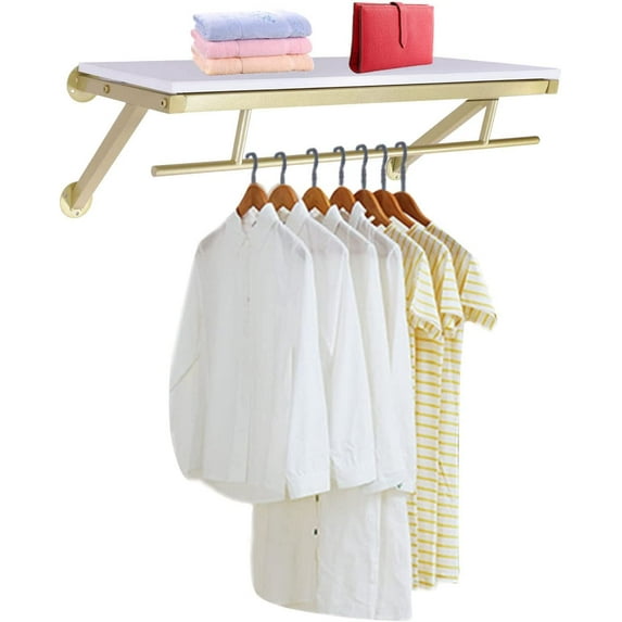 Miumaeov Clothes Rack with Top Shelf, Wall Mounted Garment Rack,Heavy ...