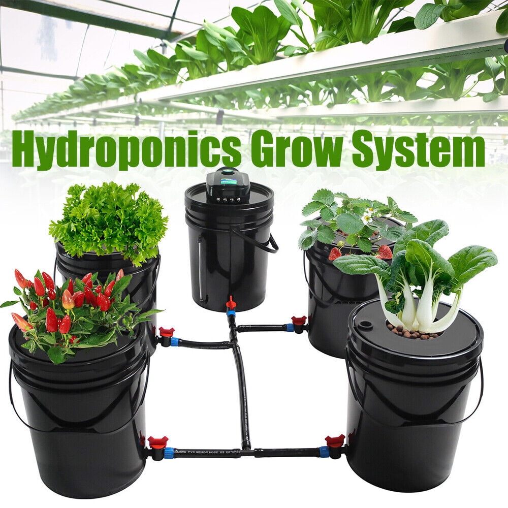 Hydroponic Bucket System