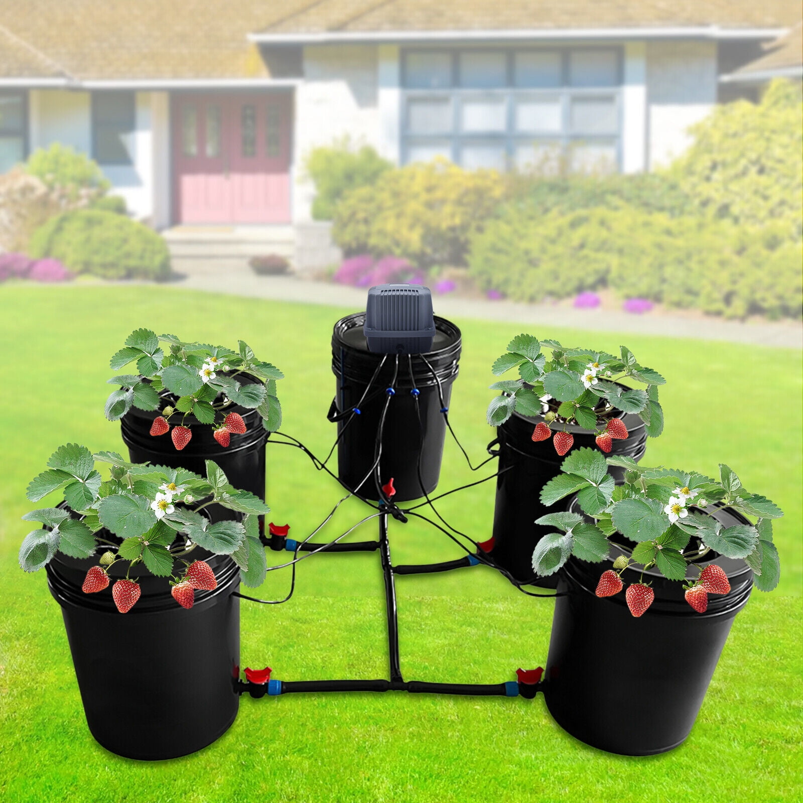 Miumaeov Hydroponics Growing System 5 Gallon Hydroponic Bucket System ...