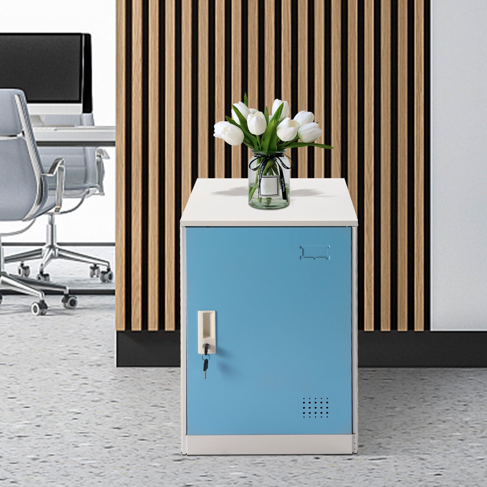 Miumaeov Metal Storage Locker 15" Lockable Storage Cabinet Box Cabinet ...