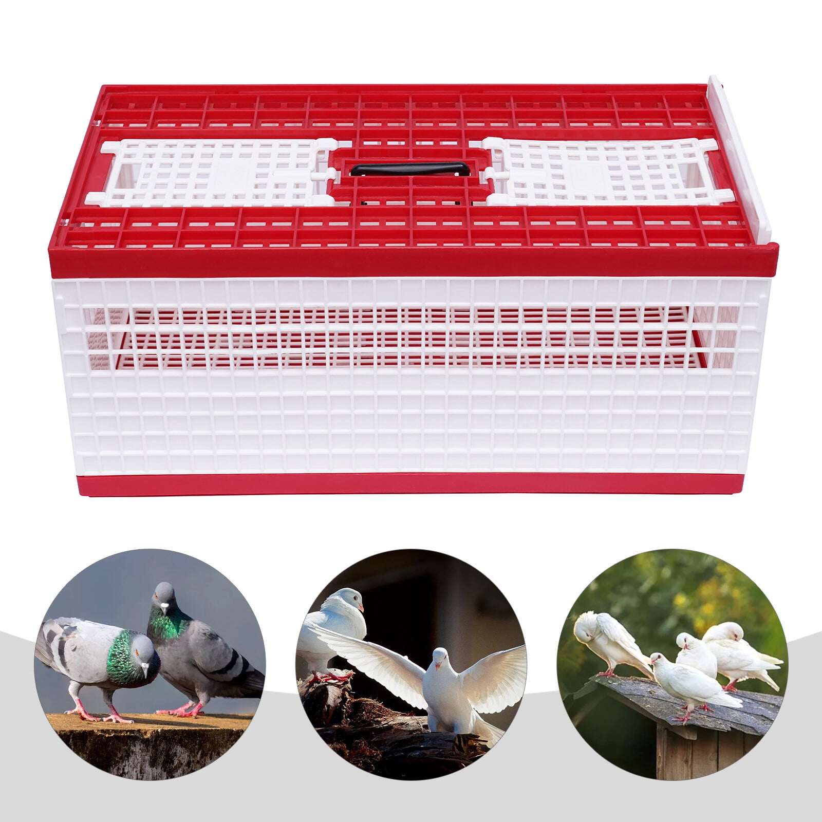 Miumaeov Pigeon Training Basket Folding Transportation Pigeon Cage ...