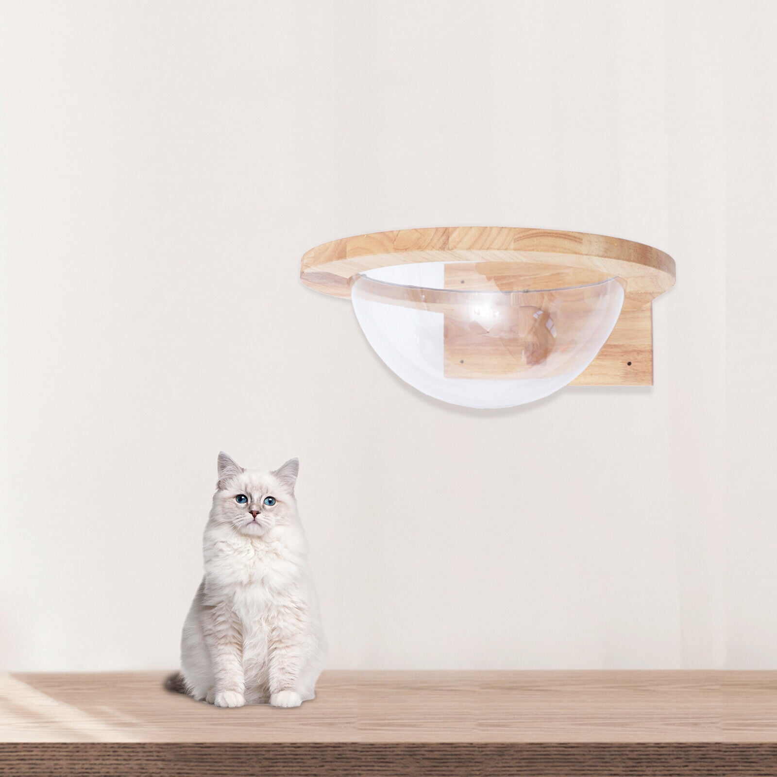 Miumaeov Wooden Cat Space Capsule Bed Wall-Mounted Clear Capsule Cover ...