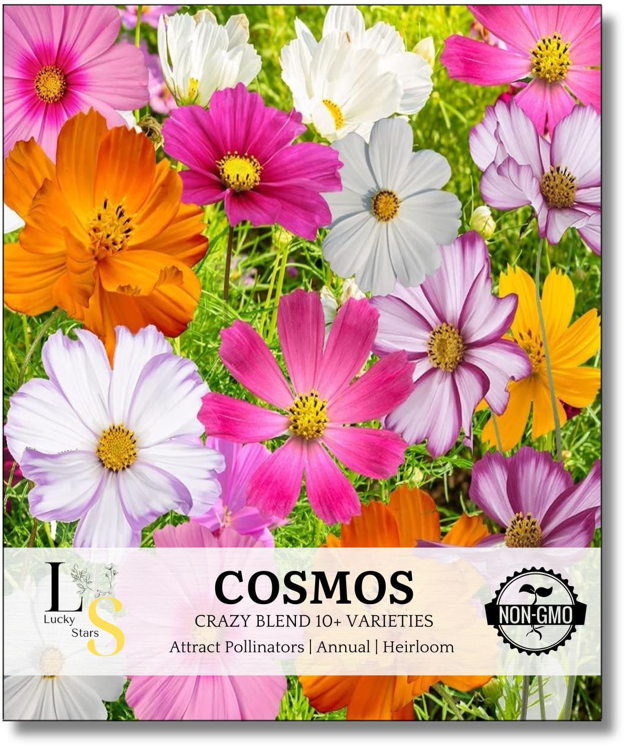 Mix Cosmos Bipinnatus Flower Seeds - MVR1 Garden Cosmos Mexican Aster ...