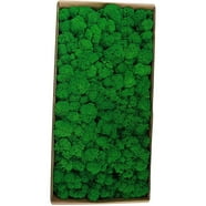 ProFlora 16" x 18" Green Moss Sticky Back Mat, 1 Each Decoration 16in ...