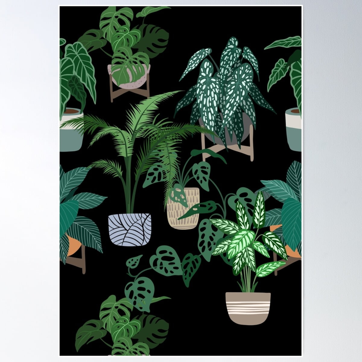 Mix Of Potted Houseplants Monstera Deliciosa Monstera Adansonii ...