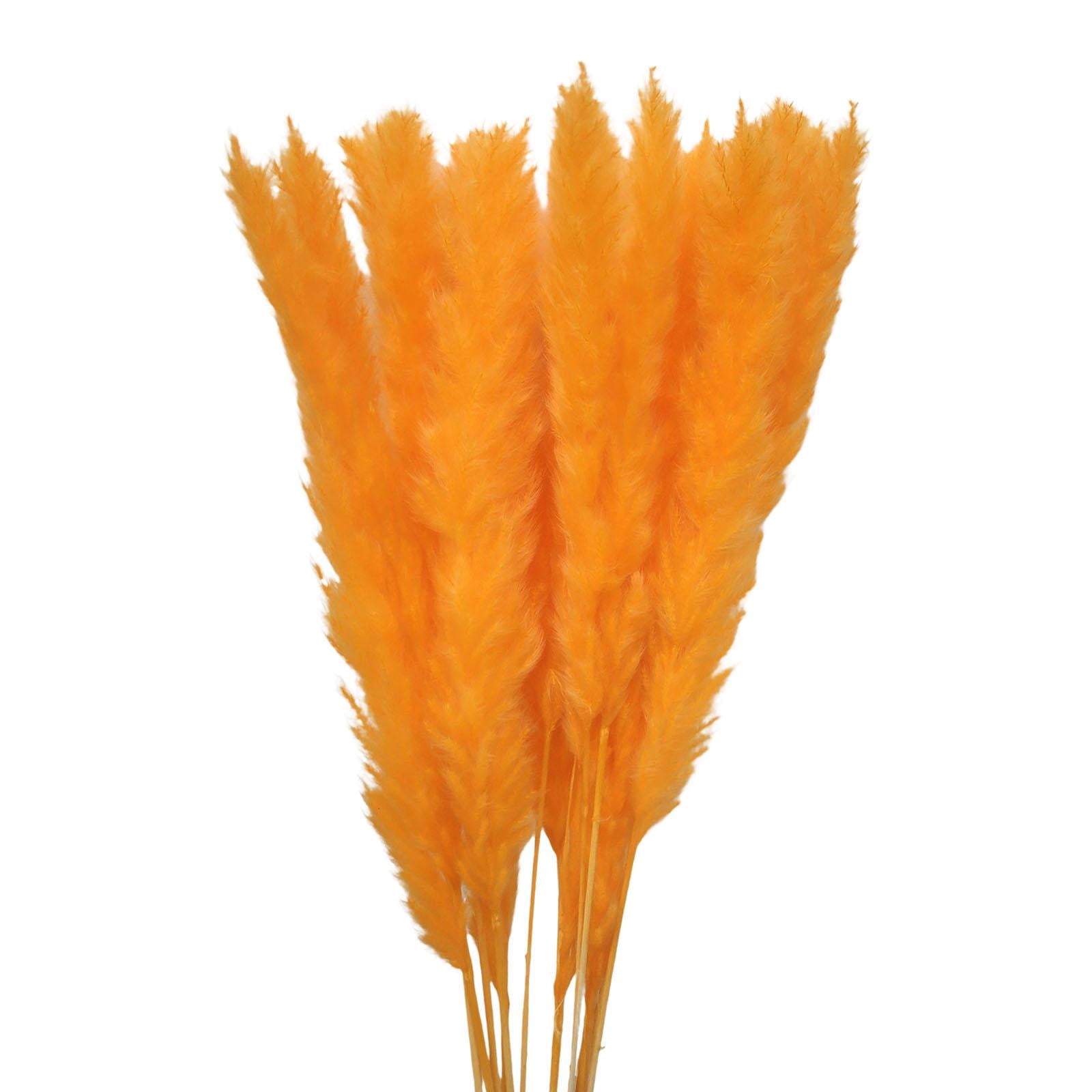 MixMart 15Pcs Dried Pampas Grass Phragmites Reed Flower Bunch 18 Tall ...