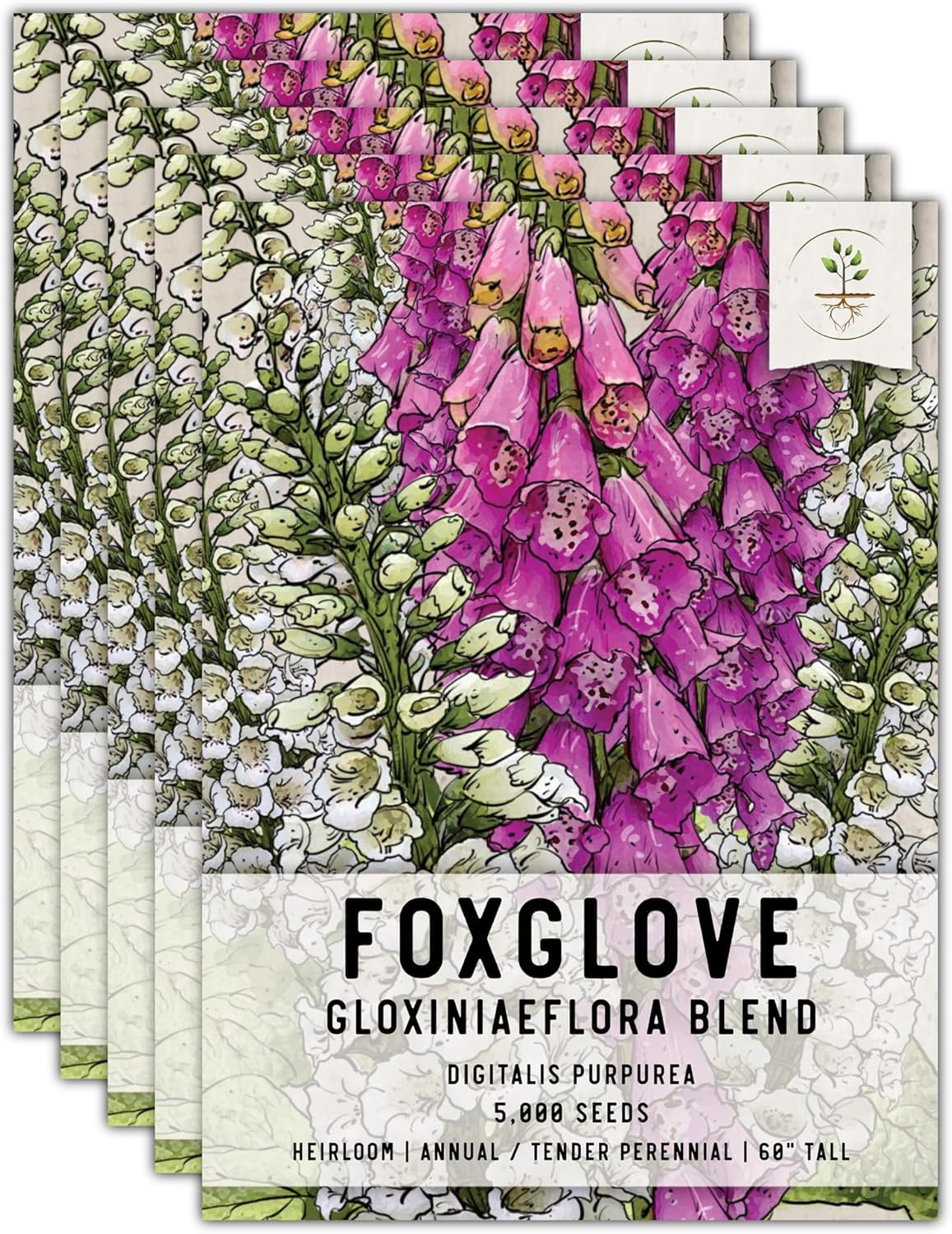 , Mixed Gloxiniaeflora Foxglove Seeds for Planting - Heirloom & Open ...