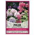 Mixed Phlox Seeds - Walmart.com