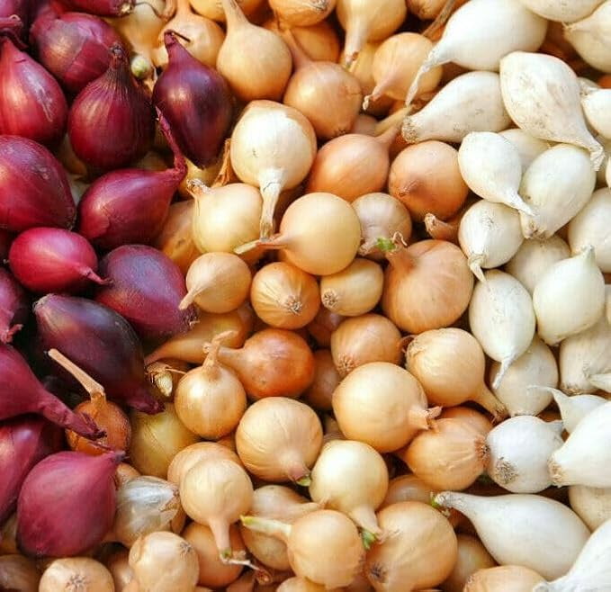 Onion Sets