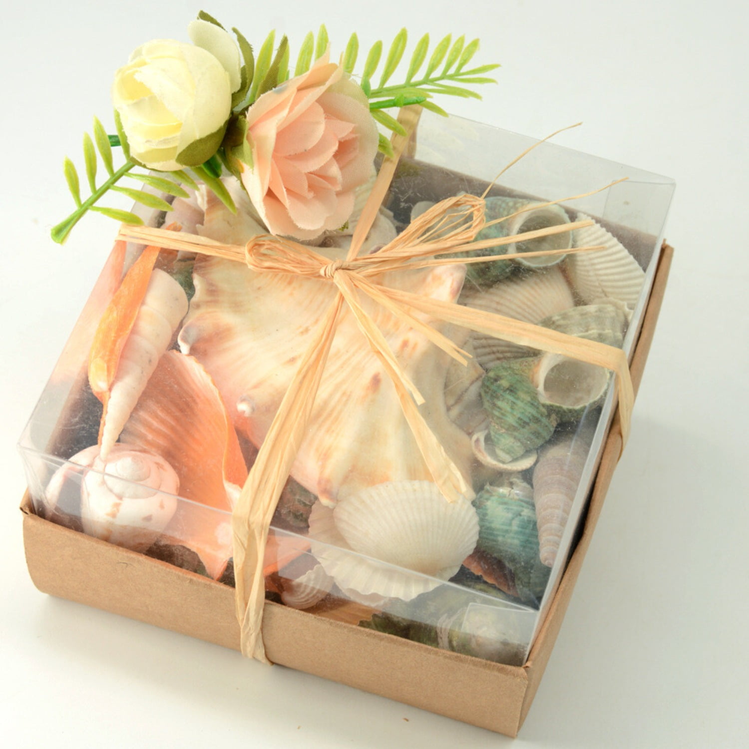 Mixed Sea Shell Gift Box 12CM Star Shell Ocean Theme Decor Assorted ...