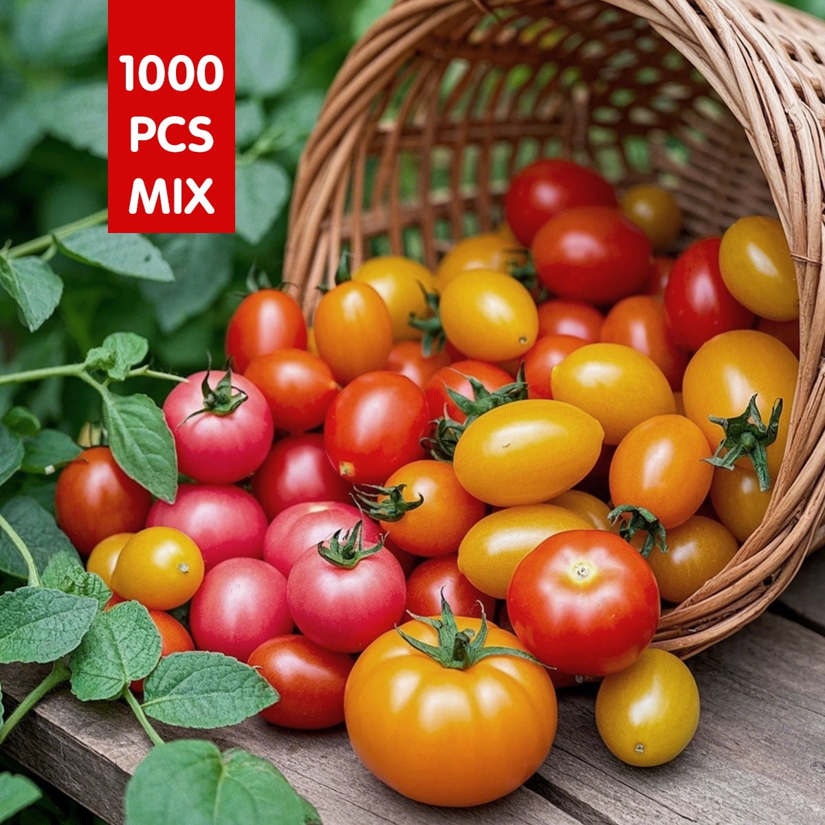 Mixed Tomato Seeds 1000PCS Tomato Seeds, Contain Red, Yellow, Non-GMO ...