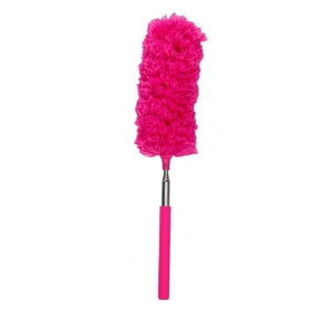 Extendable Duster