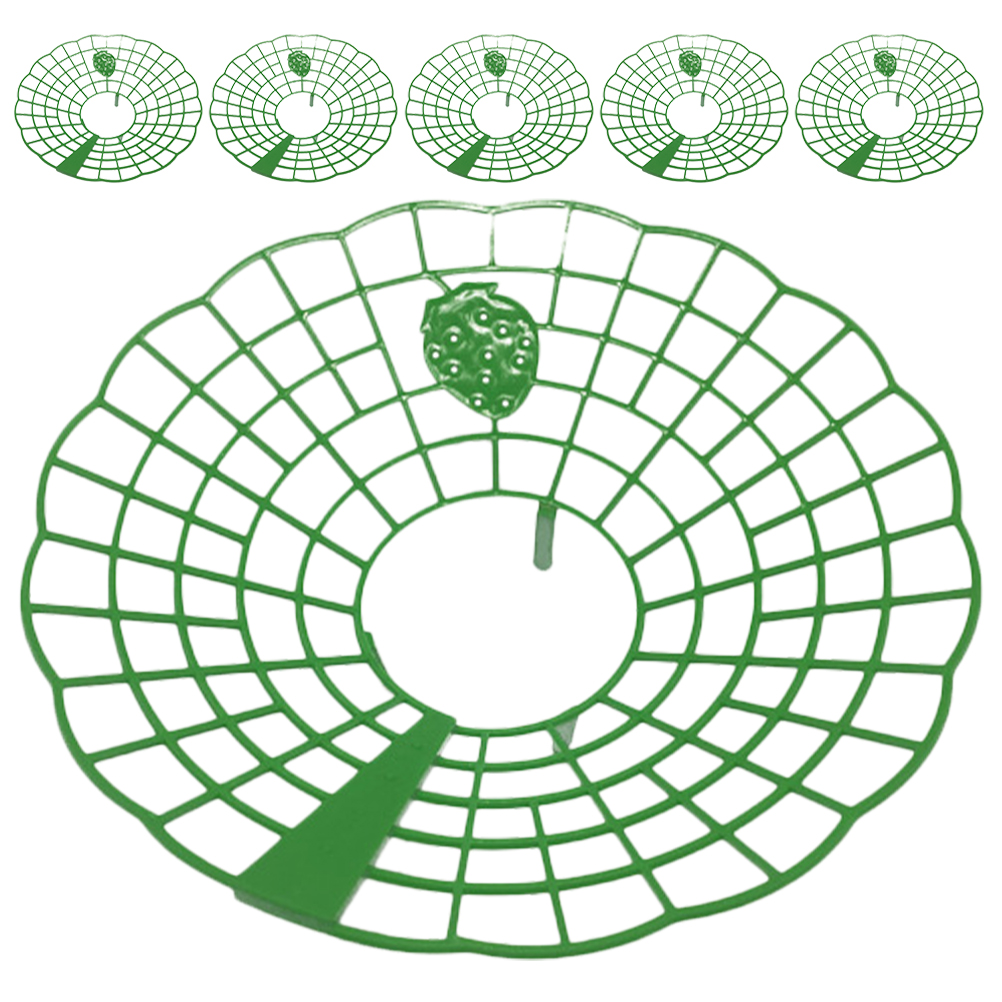 Mizh 6pcs Strawberry Supports Strawberry Plant Support Stand Strawberry ...