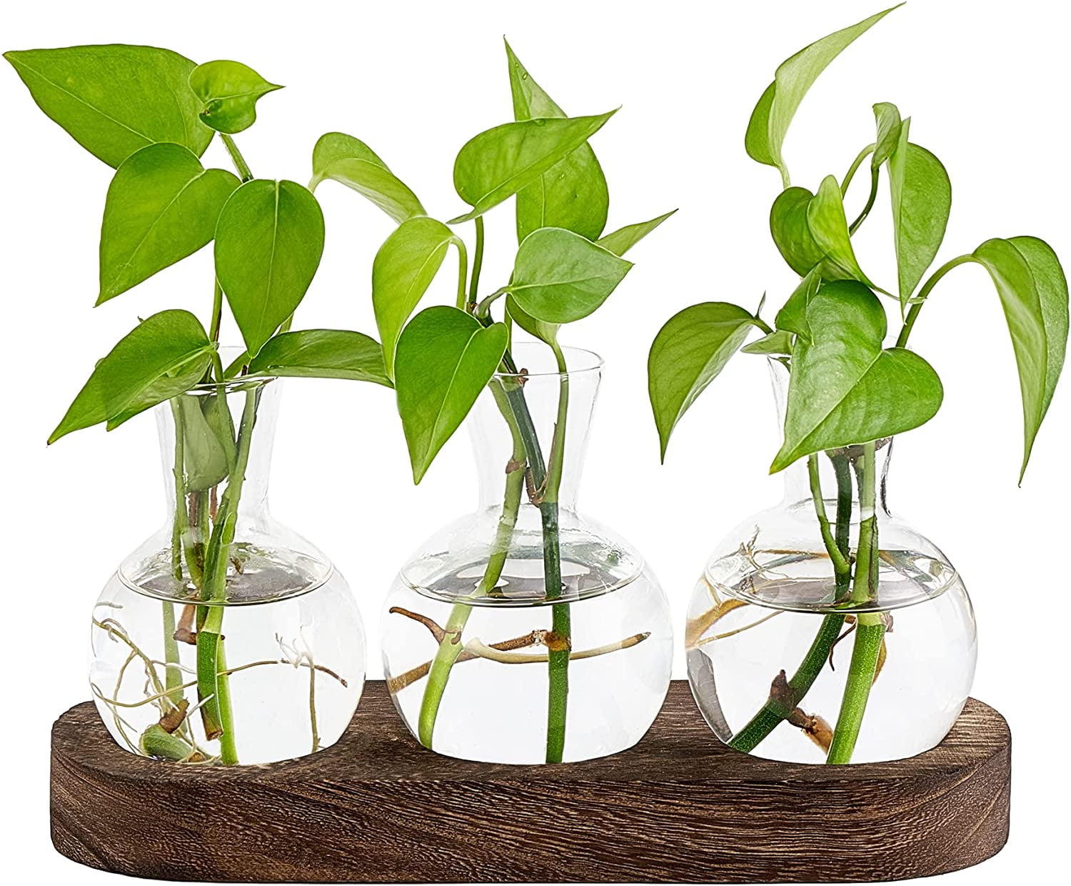 Mkono Plant Propagation Vase Set Glass Vases for Live Plant Flowers ...