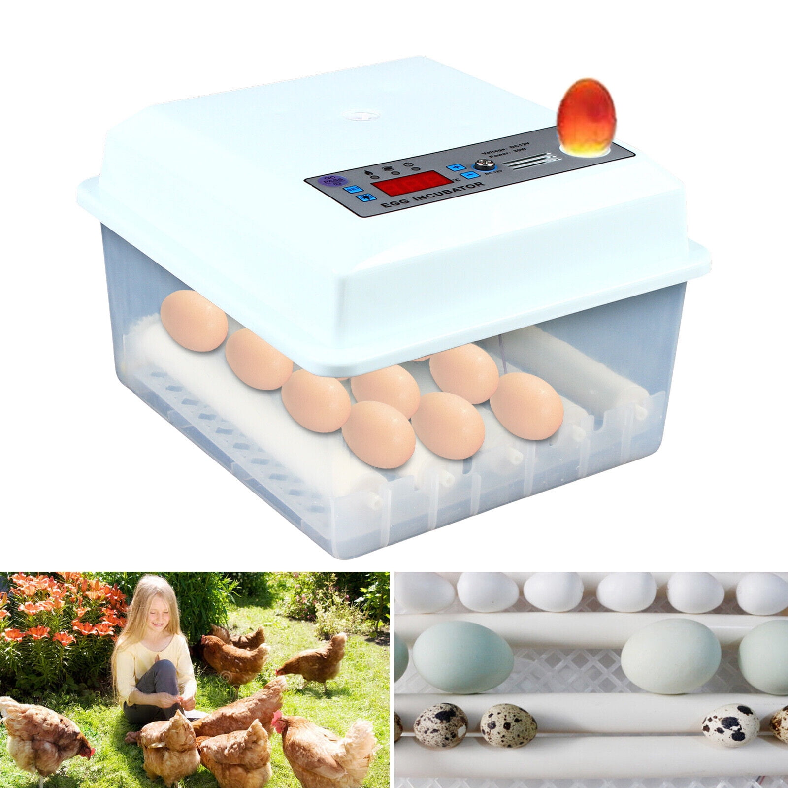 Mkyiongou 16 Clear Eggs Incubator, Automatic Egg Incubator, Digital ...