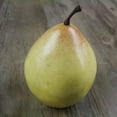 Mlless Artificial Pear Fake Fruits Realistic Pears Model Shop Display ...