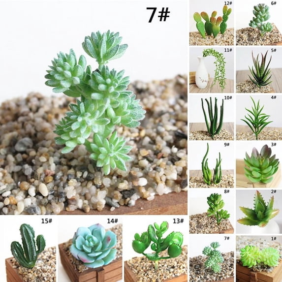 Mlless Artificial Plastic Succulent Plant Echeveria Flower Home Office ...