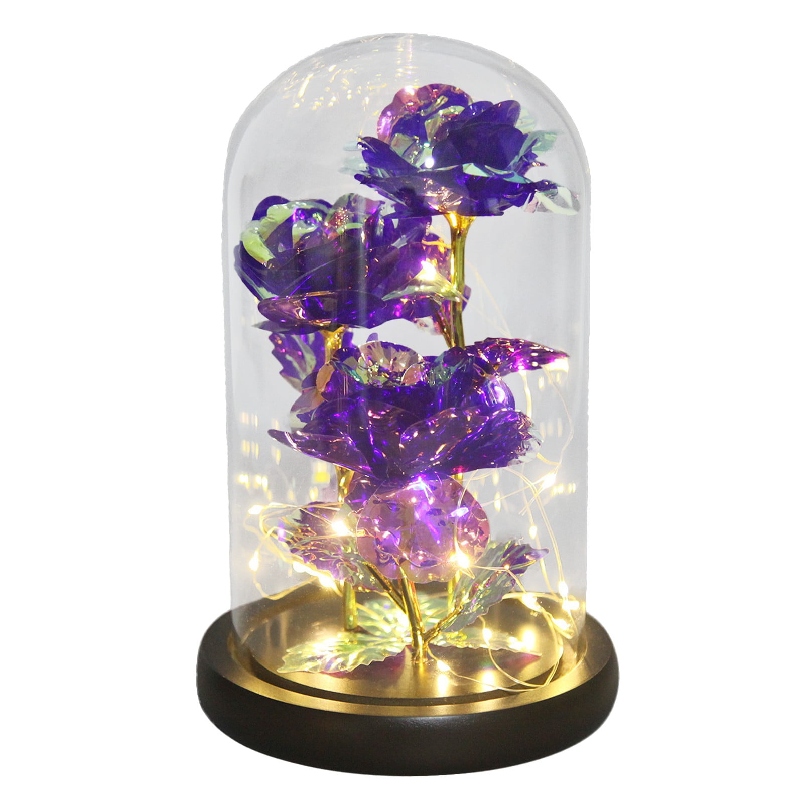 Mnjin Beauty and The Rose,Enchanted Flower with LED Light &Red Roses ...