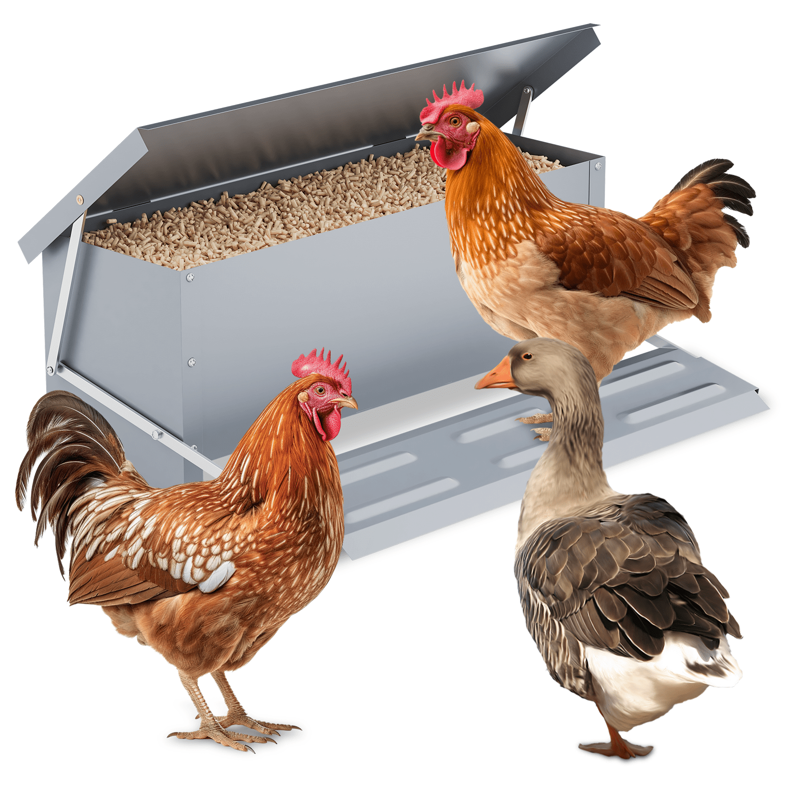 MoNiBloom Automatic Chicken Feeder, Galvanized Steel Poultry Feeder ...