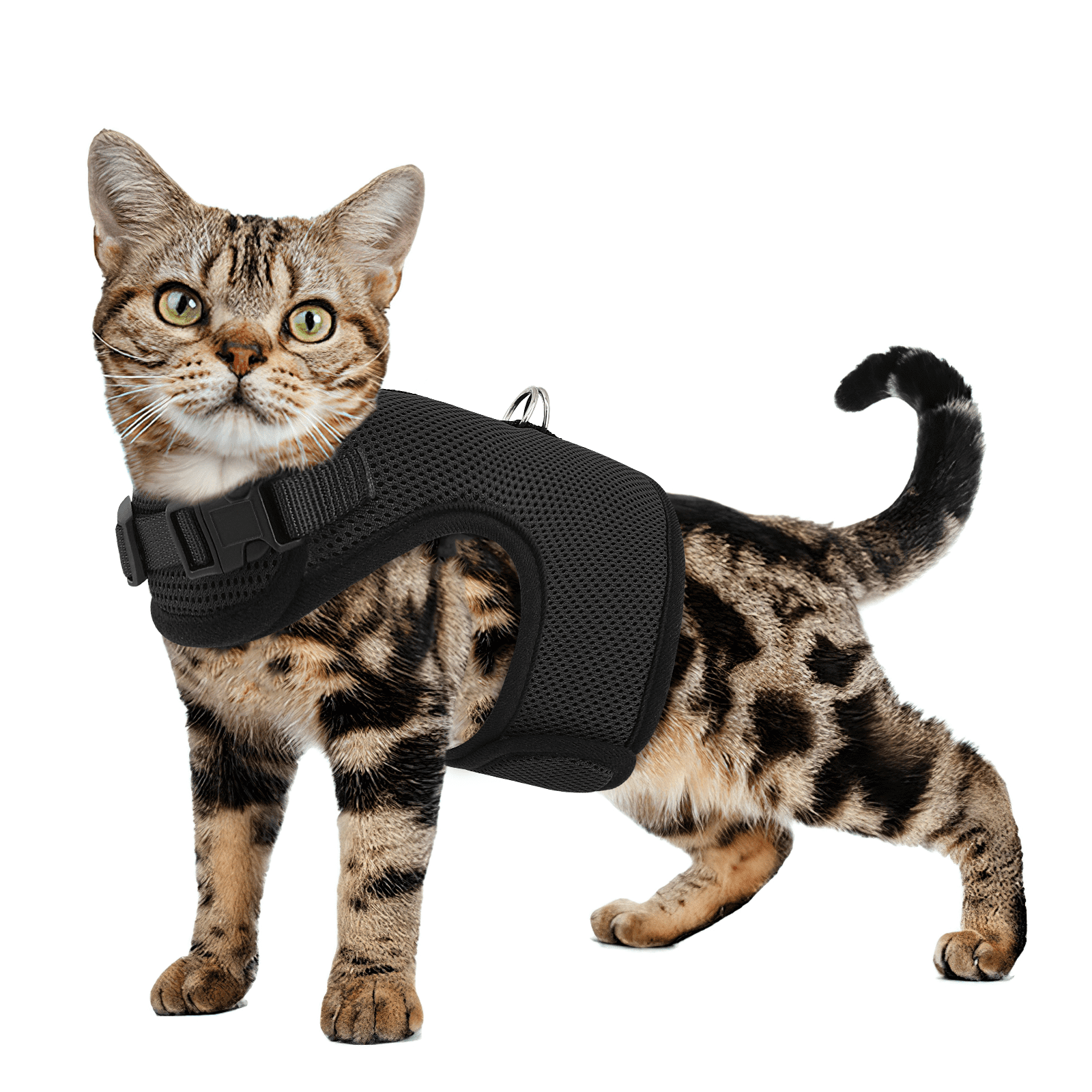 MoNiBloom Cat Harness for Walking, Escape Proof Soft Adjustable Kitten ...
