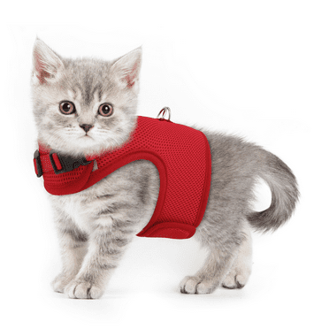 The Dodo Step-in Style Pet Harness, Blue Dodo Print, Small - Walmart.com