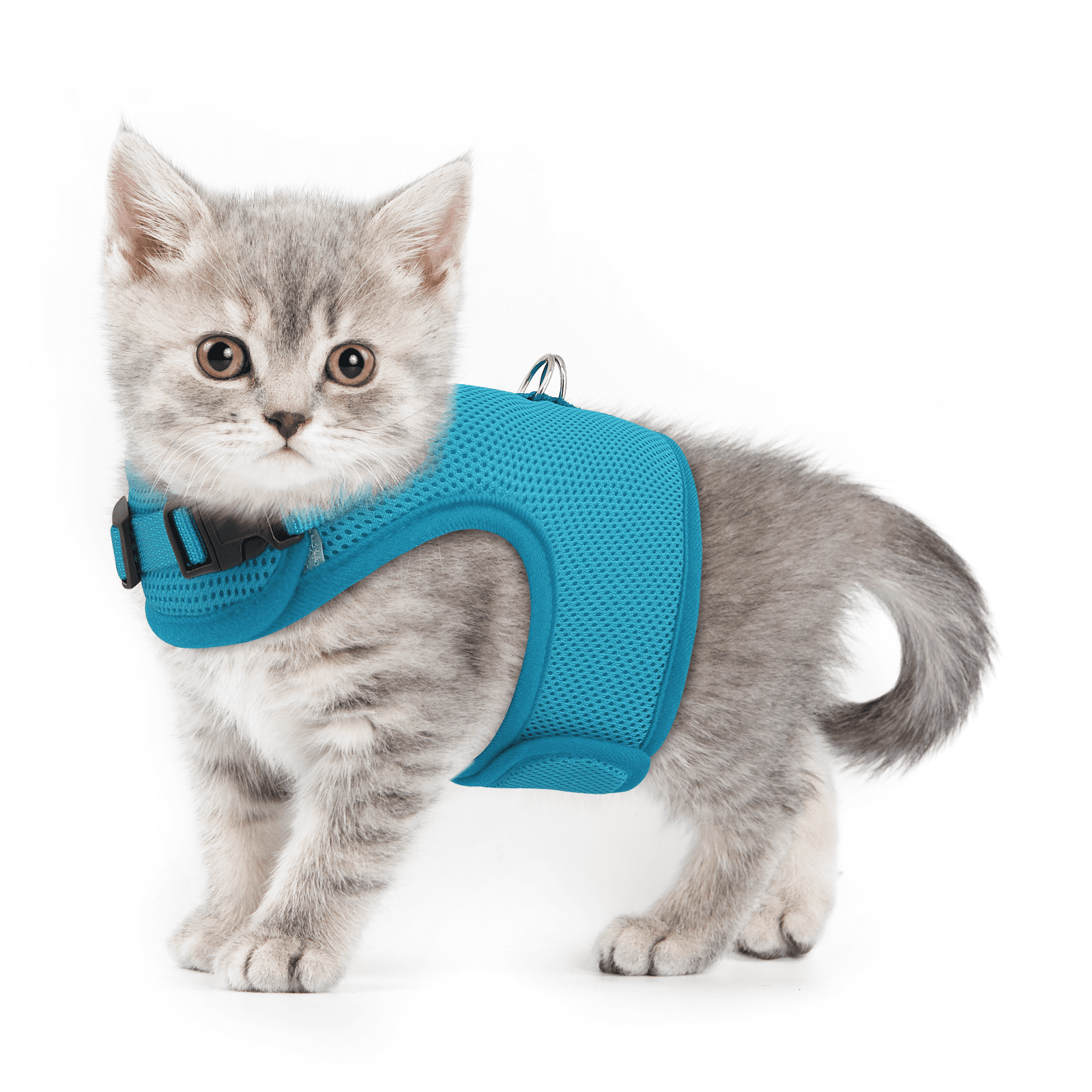 MoNiBloom Cat Harness for Walking, Escape Proof Soft Adjustable Vest ...