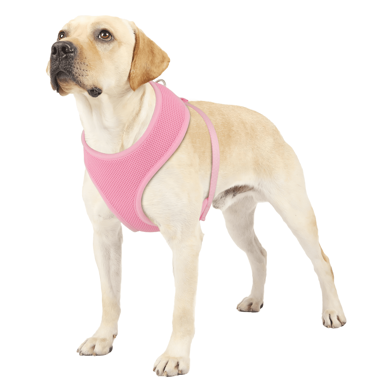 MoNiBloom No Pull Dog Harness, Pet Vest Adjustable Mesh Breathable ...