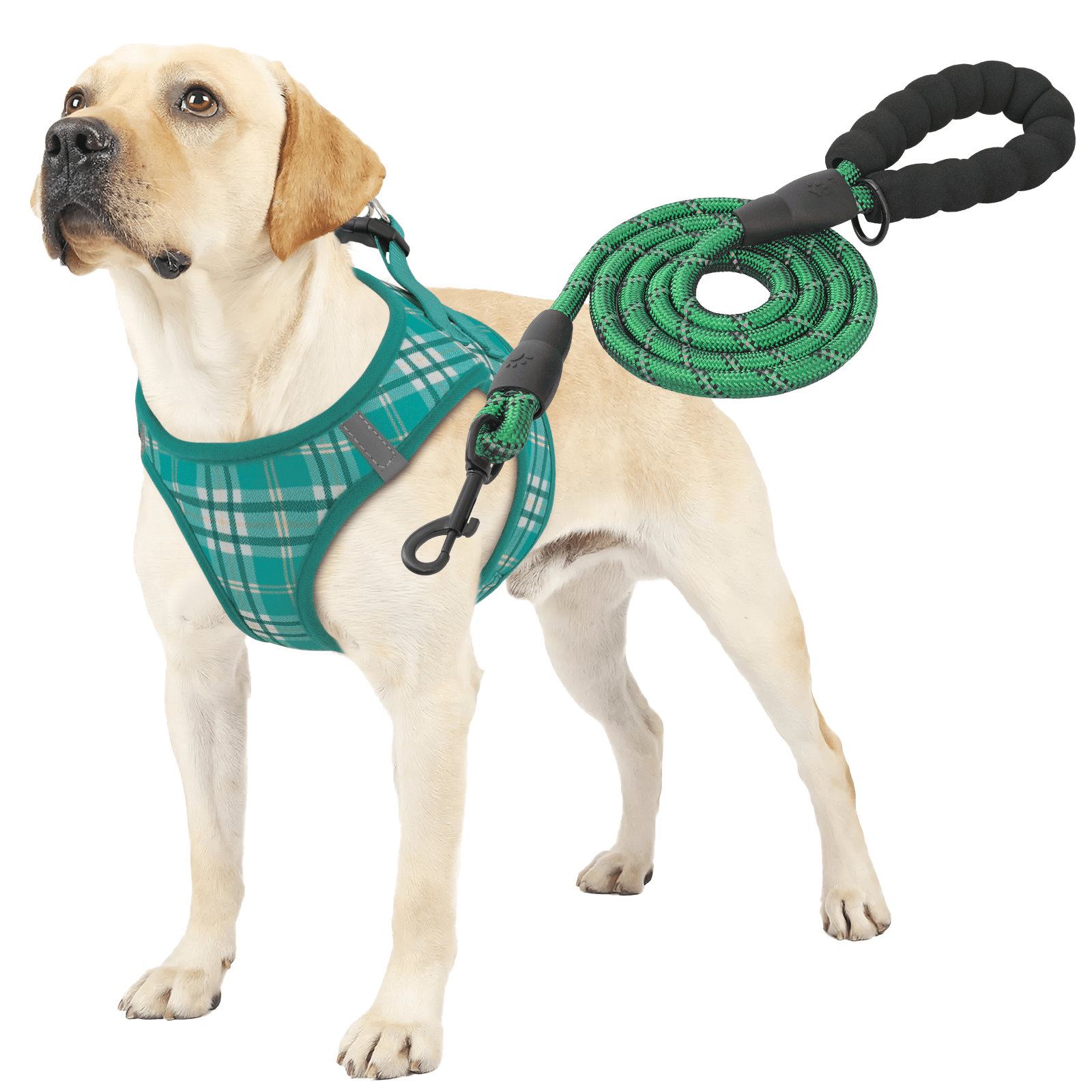 MoNiBloom No Pull Dog Harness with Leash, No Choke Reflective Pet Vest ...