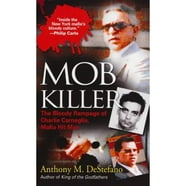 Little Lost Angel (Paperback) - Walmart.com