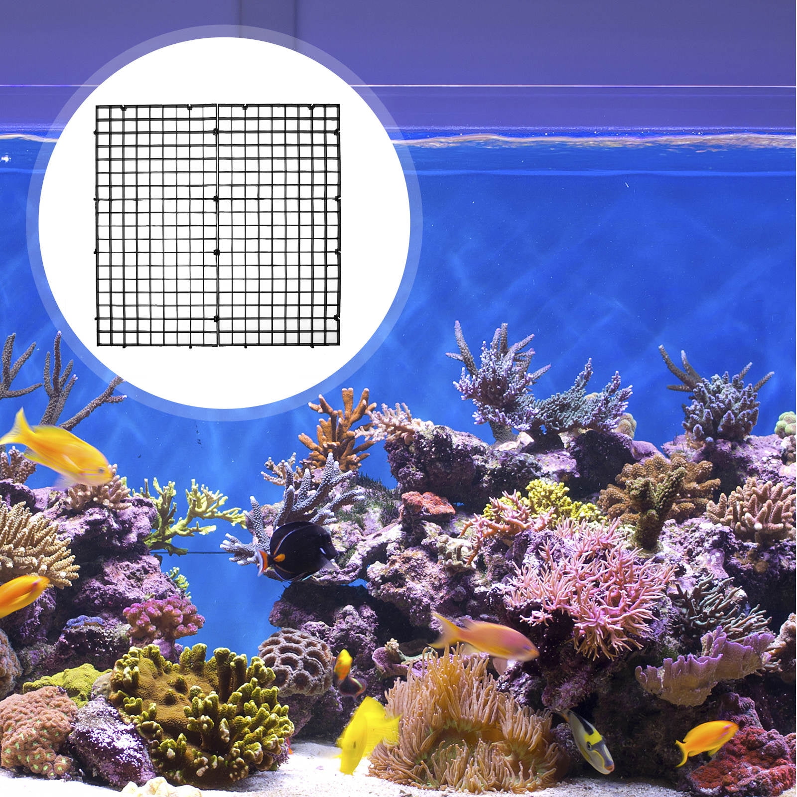 Mobestech 10Set Aquarium Bottom Grid Divider Black Plastic for Fish ...