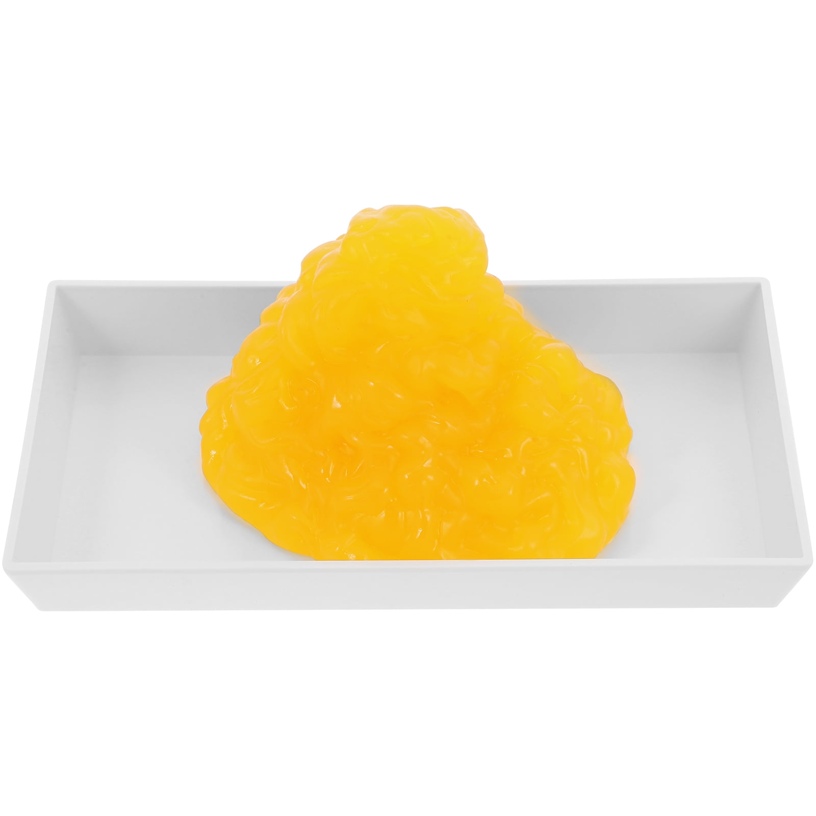 Human Model 1 Pound Fat Display with Base - Walmart.com