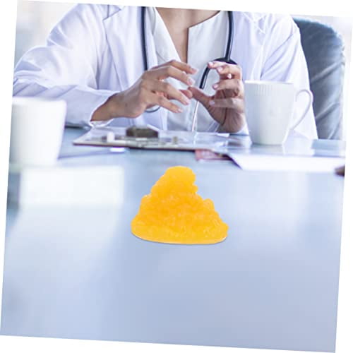 Mobestech Fat Model 5 Pound Fat Anatomical Model Fat Male Models Fat ...