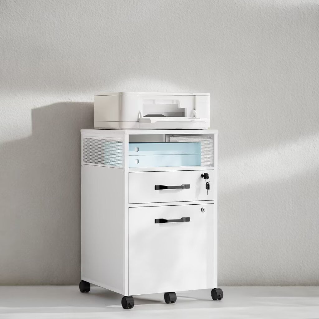 Mobile Filing Cabinet on Wheels, Steel Frame, 2 Lockable Drawers for A4 ...